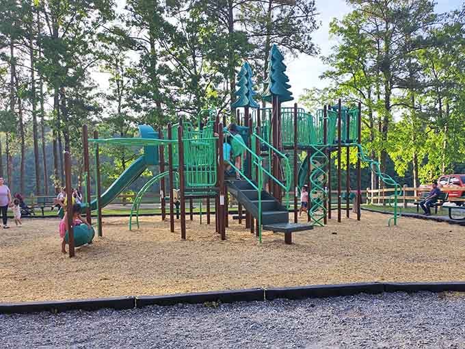 A playground surrounded by pines, where kids forget screens exist and parents remember what fun looks like.