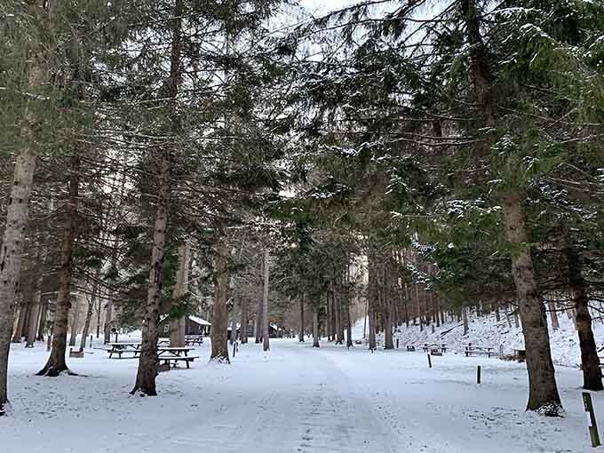 Winter turns Ole Bull into a snow-dusted wonderland that makes you want to stay just a little bit longer.