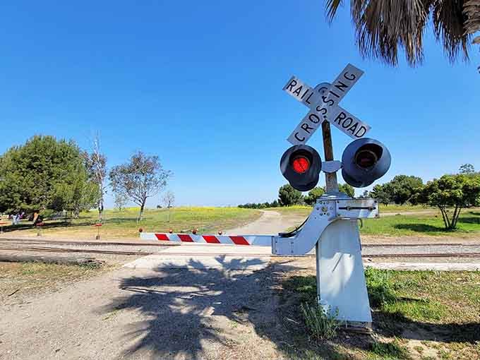 Yes, that's a functioning railroad crossing complete with lights, because these folks don't do halfway.