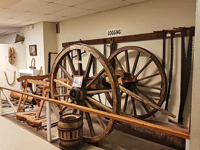 Massive logging wheels demonstrate the muscle required to harvest timber when horsepower meant actual horses.