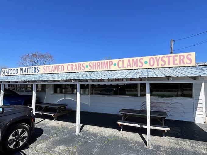 Steamed crabs, shrimp, clams, and oysters on one sign, which is basically the Eastern Shore's version of a standing ovation.