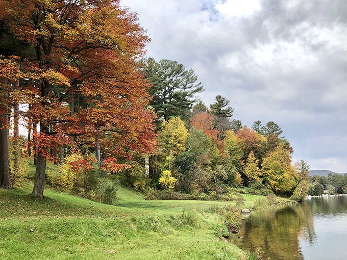 Autumn trees line the shoreline in every warm color imaginable. This is what Massachusetts looks like when it's showing off.