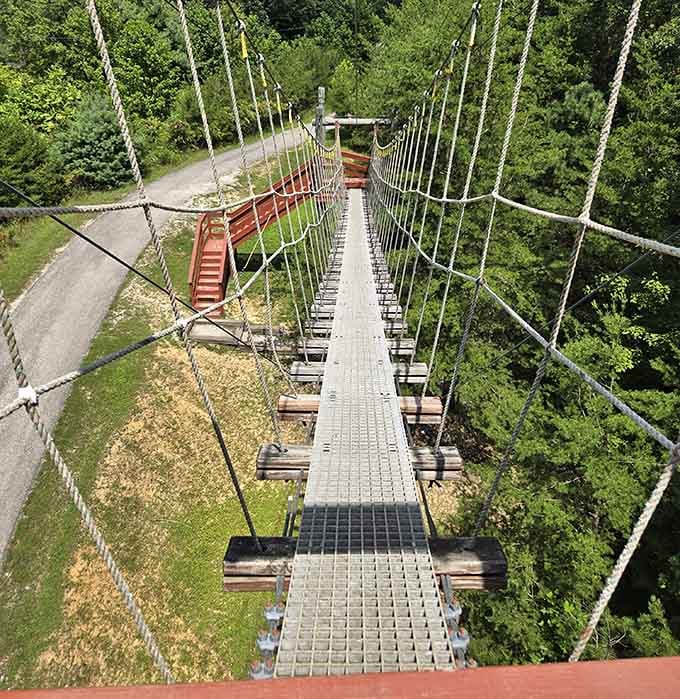 Looking straight down a suspension bridge is the moment your brain and your legs have a serious disagreement.