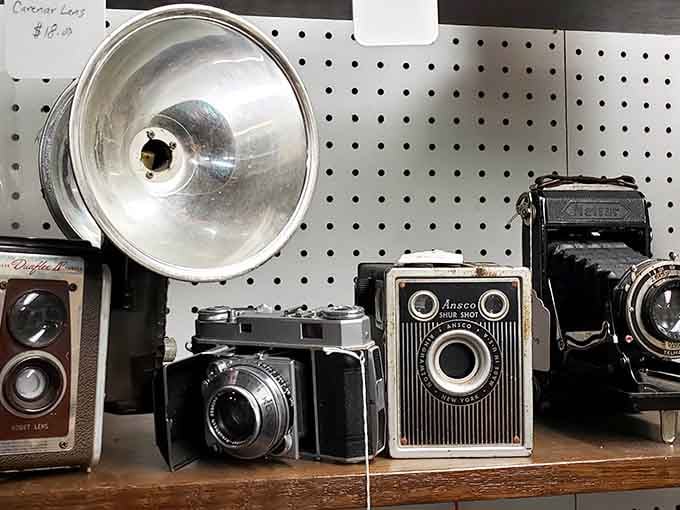 A shelf of vintage cameras lines up like a photography hall of fame, from box cameras to folding beauties.