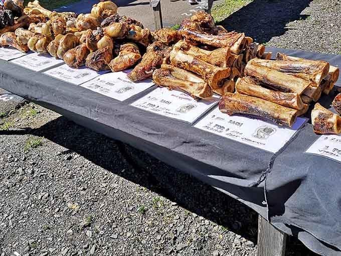 Premium bones for the four-legged family member who absolutely deserves a treat today, no arguments.