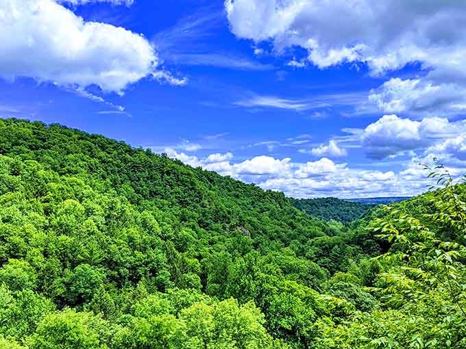 Rolling green hills stretch as far as the eye can see, and yes, this is still New York State.