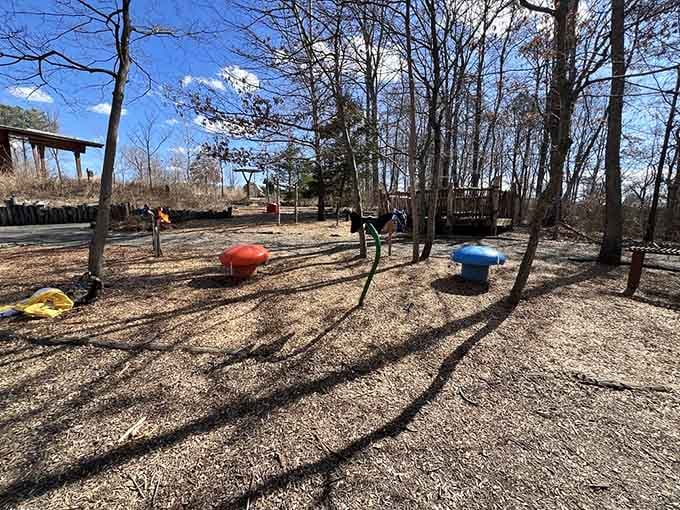 Spinning tops, climbing structures, and wood chips underfoot. This playground doesn't need a screen to hold anyone's attention.