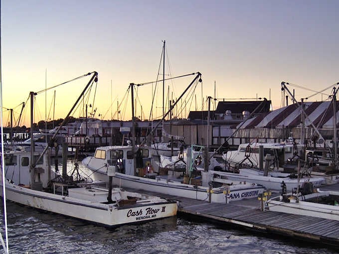 Working fishing boats at golden hour. These vessels aren't decorative; they're out there earning their keep daily.