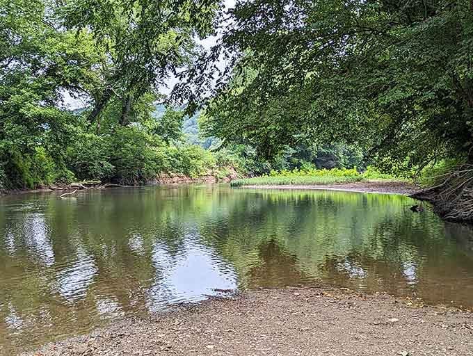 Still water mirrors the surrounding green canopy so perfectly you'd swear the river is showing off its best painting.