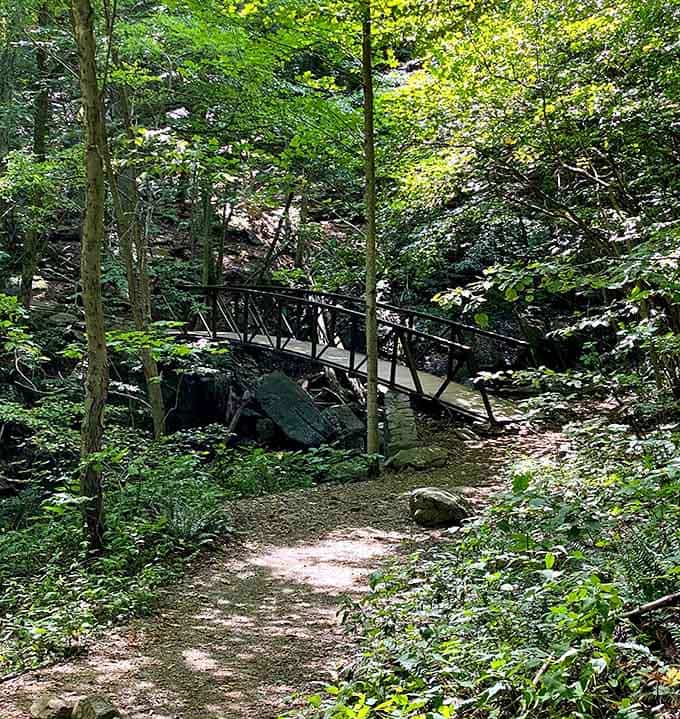 A small footbridge tucked into all that green feels like a scene from a storybook nobody told you about yet.