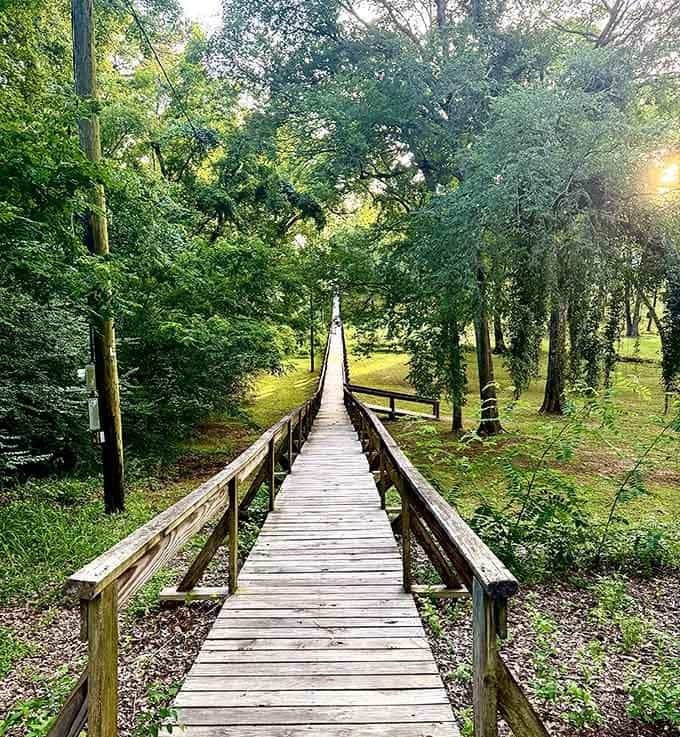 Golden hour hits the Rusk Footbridge like a spotlight, and suddenly you're the star of your own nature documentary.