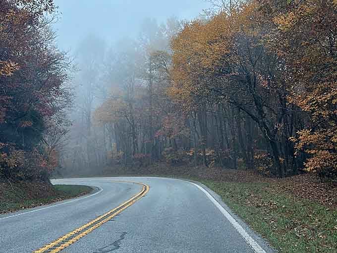 Morning fog transforms the byway into something mystical, like driving through a beautiful dream sequence.