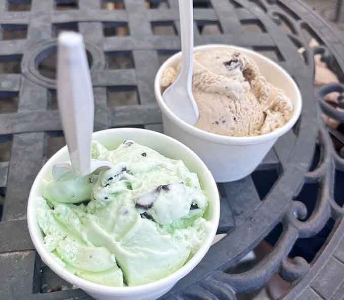 Two scoops of farm-fresh ice cream on a warm afternoon. This is what happiness looks like in a paper cup.