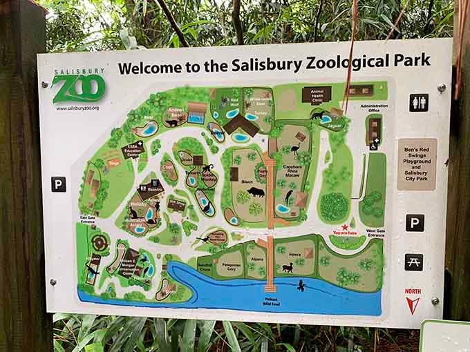 The zoo map reveals just how much is packed into this place. Spoiler: it's a lot more than you expected.