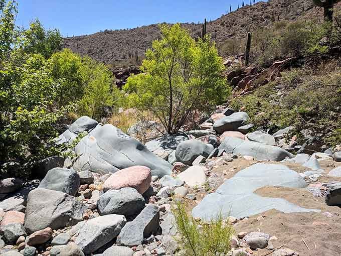The rocky streambed might look challenging, but every careful step brings you closer to those crystal-clear swimming holes.