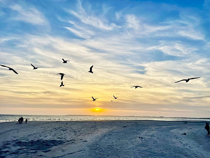 A sunset over Sand Dollar Island with birds in flight is the kind of view that makes you forget what day it is.