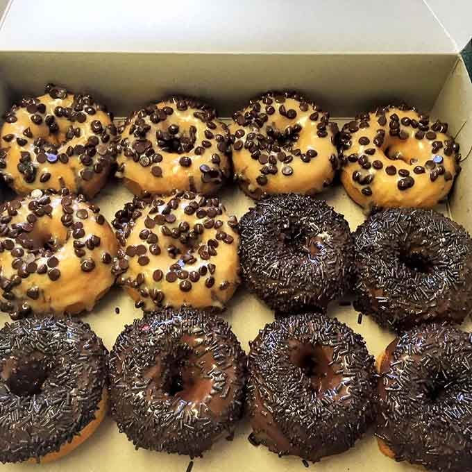 A dozen donuts lined up like a very delicious army. Chocolate chips and sprinkles reporting for duty, sir.