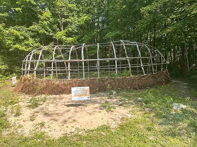 A traditional Indigenous lodge frame stands quietly in the trees, a reminder of who called this land home.