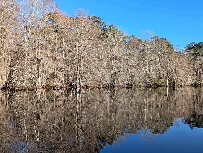 When the lake becomes a mirror, you realize nature's been doing Instagram filters since long before smartphones existed.