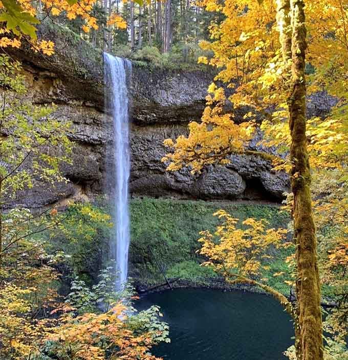 South Falls in autumn is what happens when nature decides to show off and absolutely nobody complains about it.
