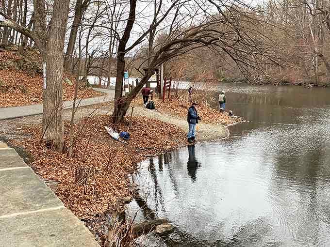 Winter fishing along the lake's edge, proof that Speedwell Park earns its keep in every single season.