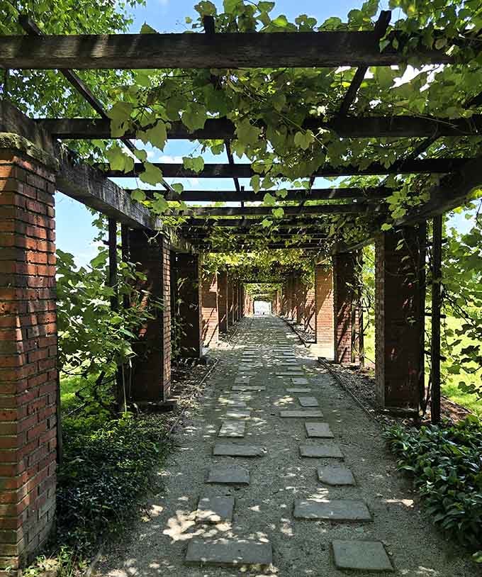 The Grape Arbor path is the kind of place that makes you slow down and actually breathe for a moment.