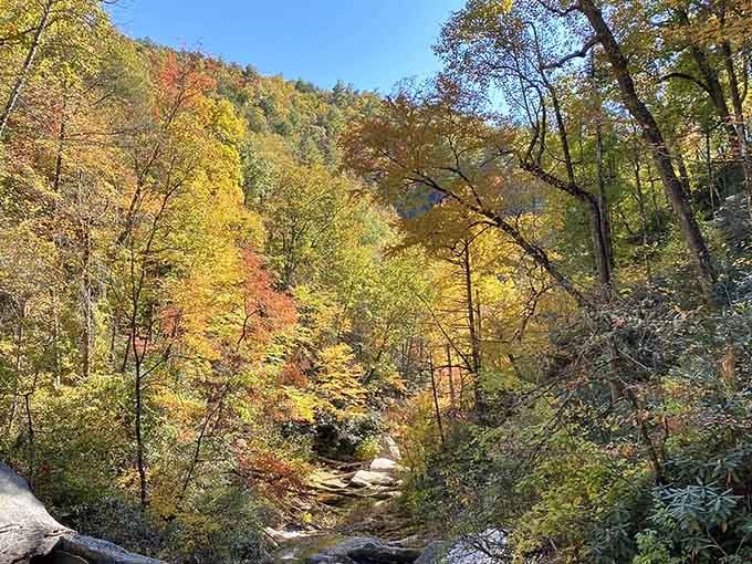 Fall color so vivid and layered, you'd swear someone painted the whole hillside overnight just for you.