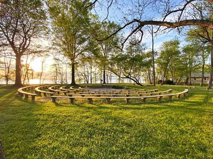 Curved wooden benches, golden light through the trees, water in the distance. Camp Wright earns every bit of its magic.