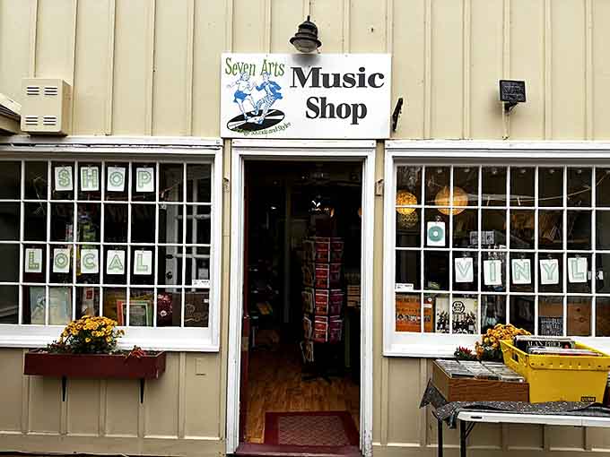 Seven Arts Music Shop keeps the analog dream alive for those who remember when music had physical form.