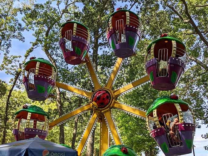 The Whirly Bug Ferris wheel lifts you gently above the treetops, offering the kind of view that resets your whole mood.