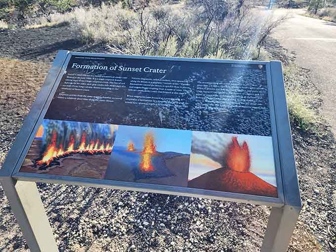 The "Formation of Sunset Crater" interpretive sign proves that some of the best stories are written in fire.