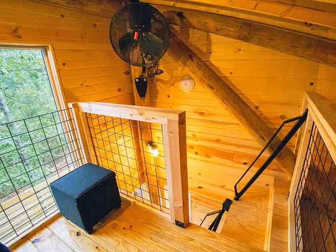 Looking down from the loft, you realize this treehouse has more personality than most apartments do.