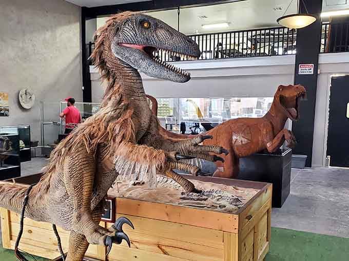 That raptor model is so detailed and lifelike, you'll instinctively take a small step backward.
