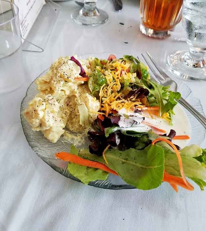 Creamy potato salad beside a fresh mixed green salad with shredded cheddar, proof that Green Manor covers all the bases beautifully.