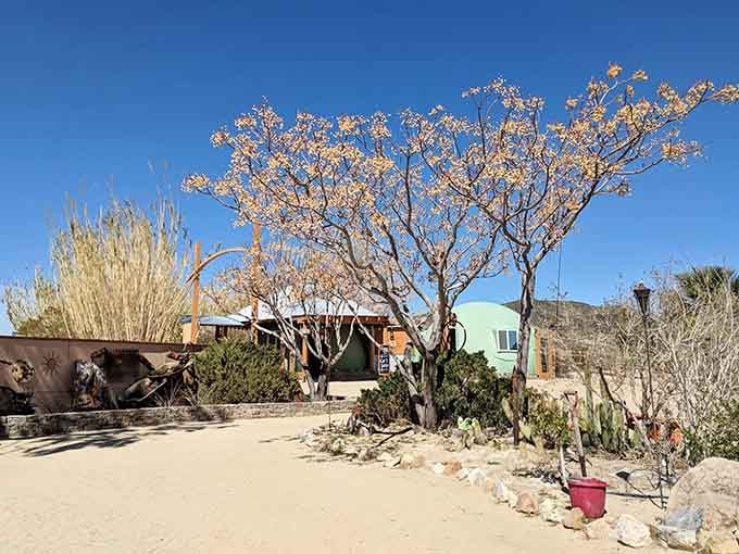 Desert landscaping, cacti, and a small green dome in the background, the Integratron property has layers worth exploring slowly.