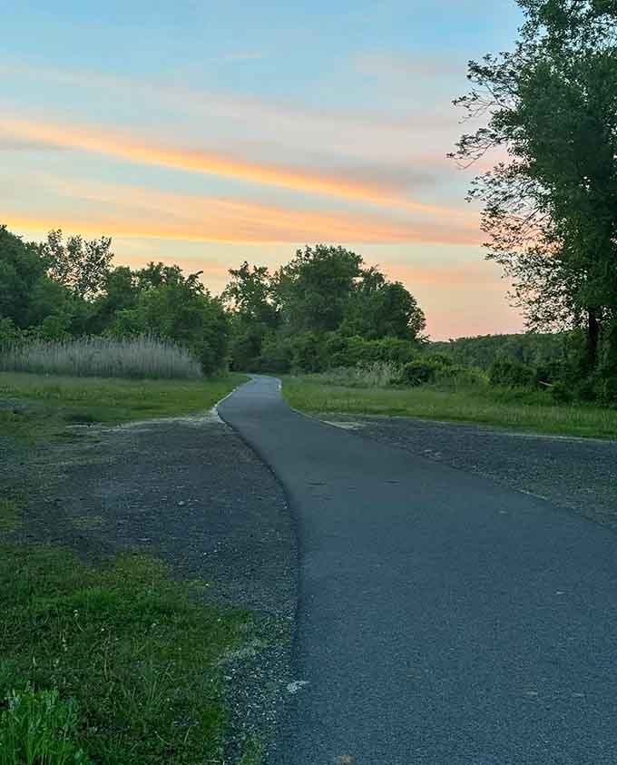 That soft peach and coral sunset curving over the winding path ahead is the kind of ending that makes you want to ride just a little bit farther.