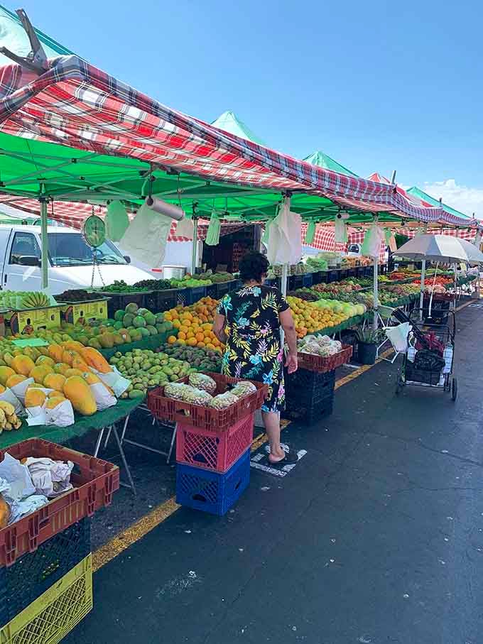 Fresh produce under checkered canopies: nature's candy at prices that make grocery stores seem downright criminal.