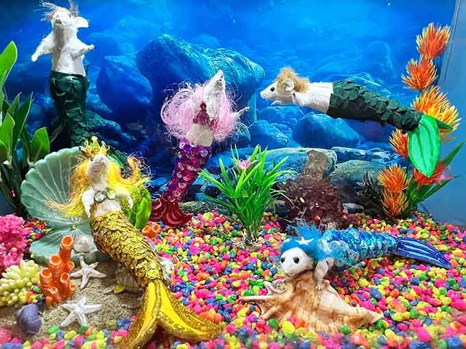 Forget everything you thought you knew about mermaids. These tiny underwater residents are rewriting the whole story.