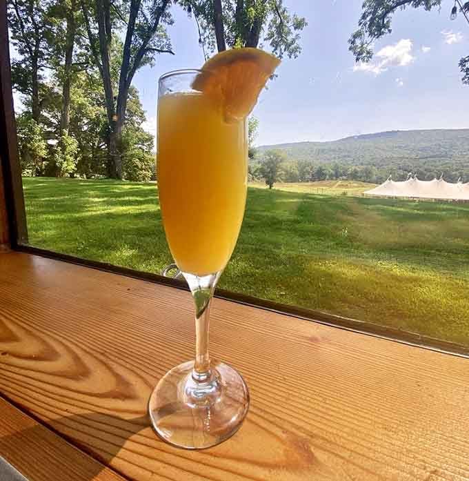 A mimosa with a view like this makes you forget you spent an hour driving through the wilderness.