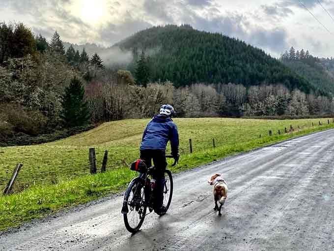 Even the dog knows the Willamette Valley countryside is worth chasing after, rain and all.