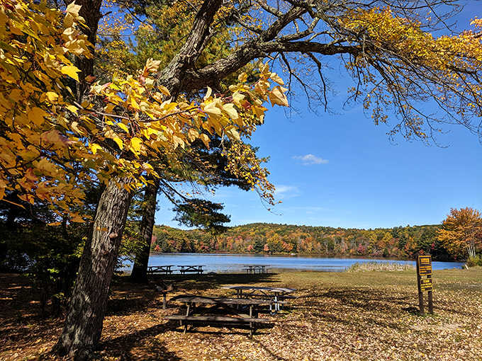 Burr Pond in full autumn glory, nature showing off like it has something to prove.