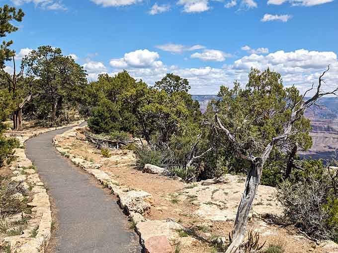 The paved Rim Trail winds gently through pinyon pines and juniper trees, practically begging you to keep walking just a little further.