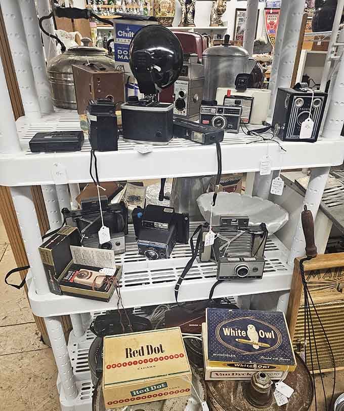 Vintage cameras lined up like a photography hall of fame. Each one captured a world we can barely imagine.
