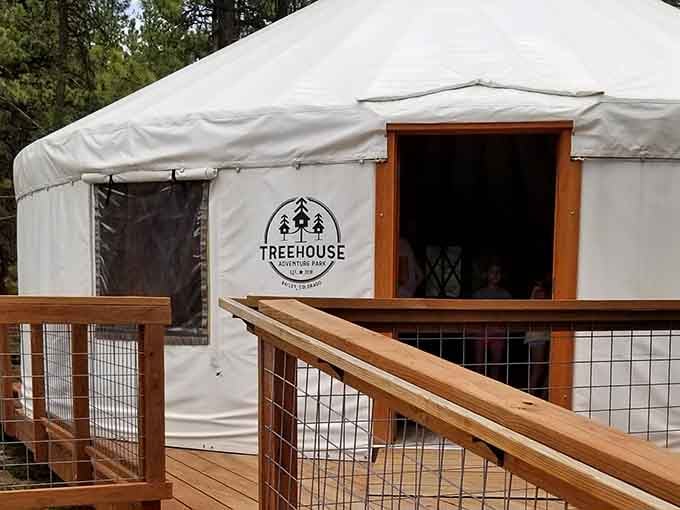 A yurt in the Colorado mountains with a treehouse logo on it. Yes, this is a real place you can visit.