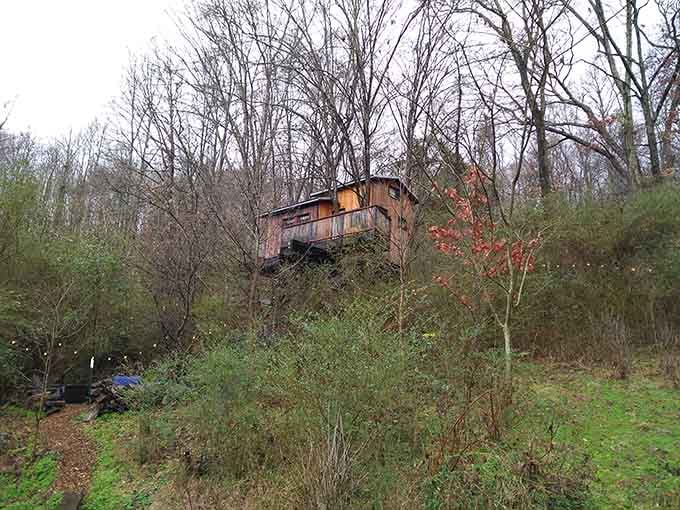 Spotted through bare winter branches, this treehouse perched on a hillside looks like it wandered out of a Tolkien novel.