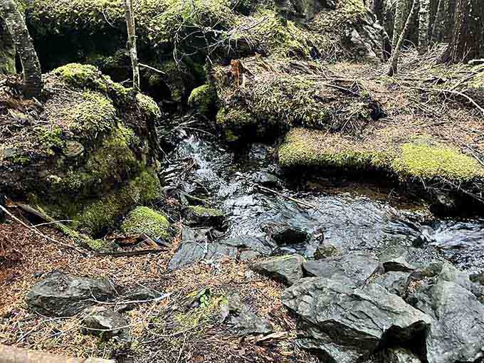 Still water, fallen timber, and cathedral-quiet forest. The Tubal Cain Trail knows how to set a mood.