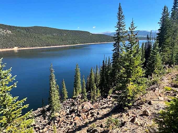 The trail winds through tall pines hugging the shoreline, rewarding every step with a fresh glimpse of blue water.