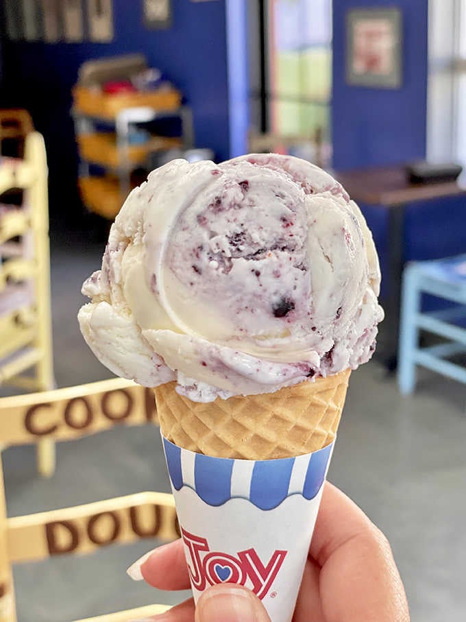 Blueberry cheesecake in a cone, because sometimes the best decisions are the ones you make on a whim.