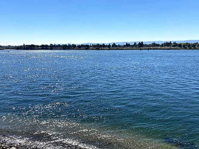 The Columbia River on a clear day, wide and unhurried, reminding you that some things don't need improvement.