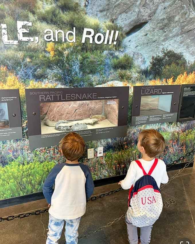 Two future scientists meet a Southern Pacific Rattlesnake safely behind glass. Everyone wins in this arrangement.